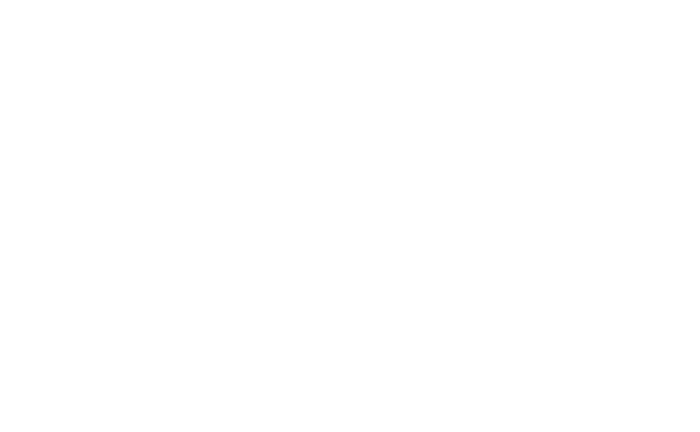 Beef Stroganoff with Prime Rib - The Butcher Shop, Inc.